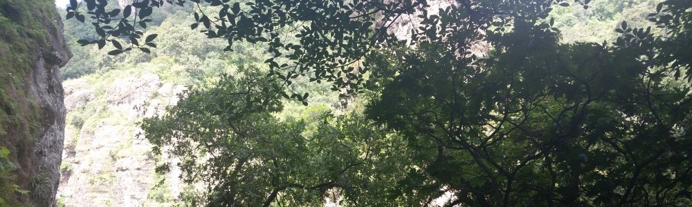 Shame Shields | Julia Schafermeyer, LCPC, CST